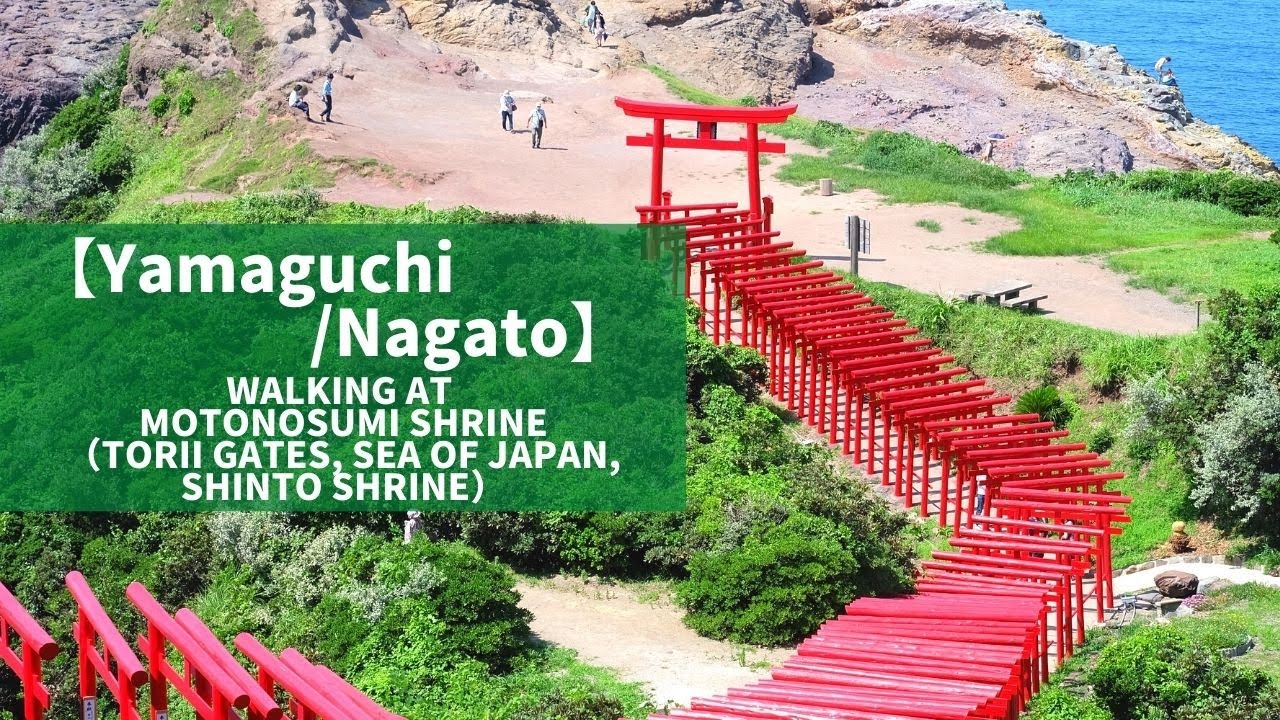【Yamaguchi/ Nagato】Walking at Motonosumi Shrine（Torii Gates, Sea of ...