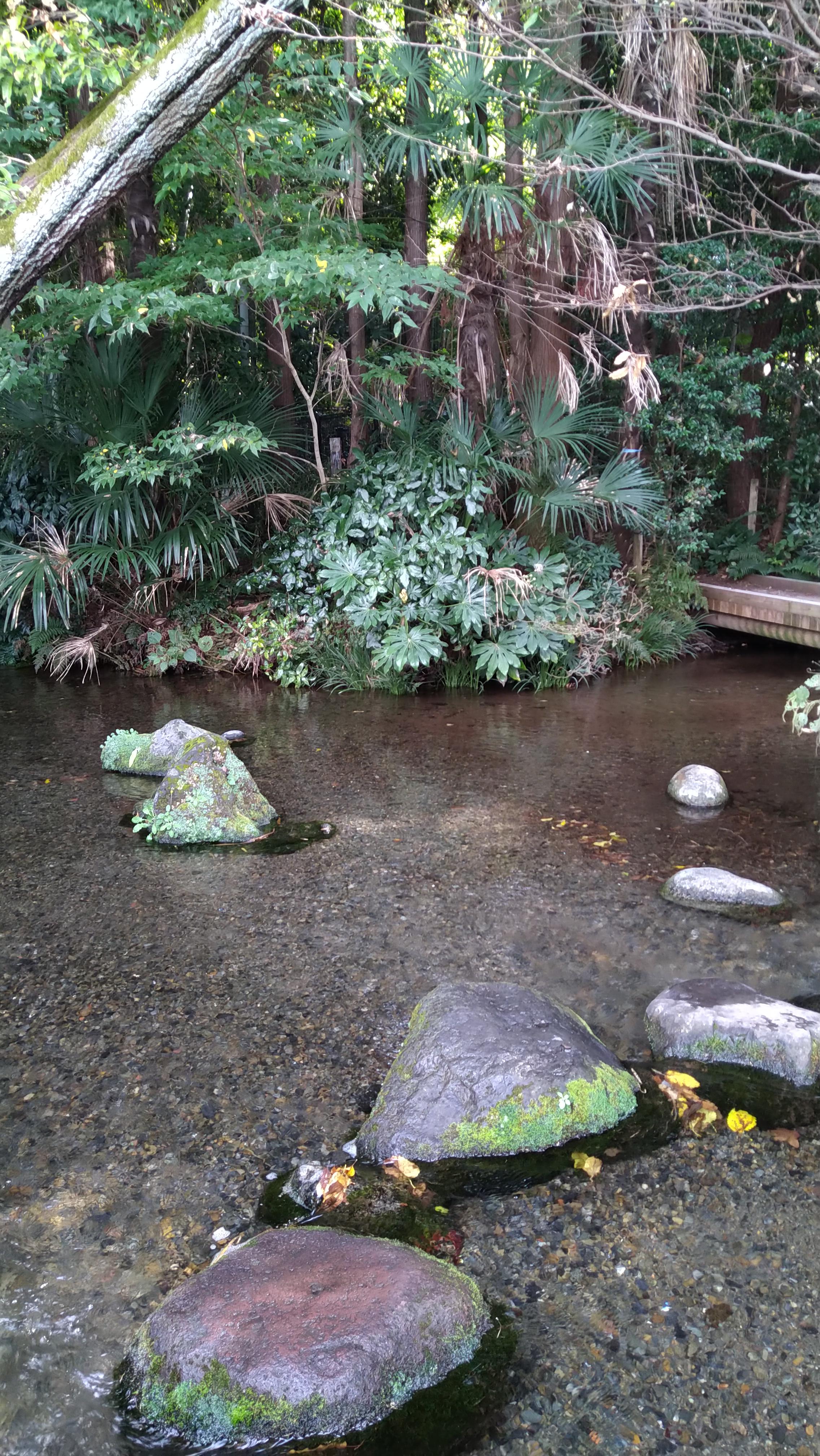 Minamisawa Spring Water, Higashikurume Tokyo. - Alo Japan All About Japan