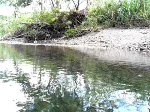 Nago River Okinawa Japan - Alo Japan All About Japan