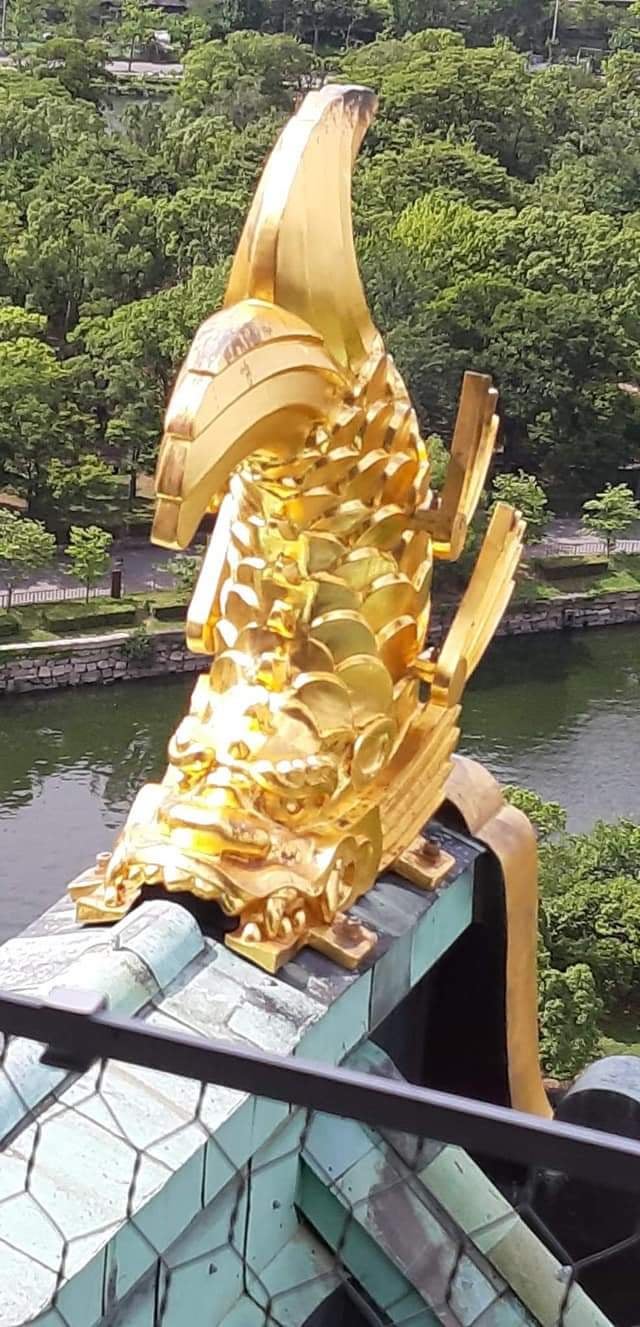Shachihoko of Osaka Castle - Alo Japan
