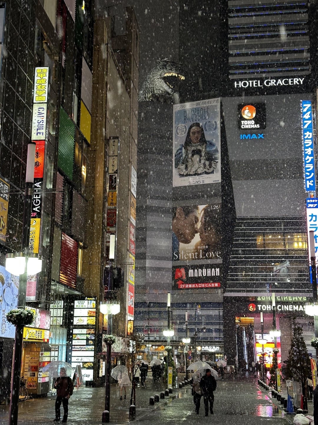 Beautiful snowy Tokyo - Alo Japan