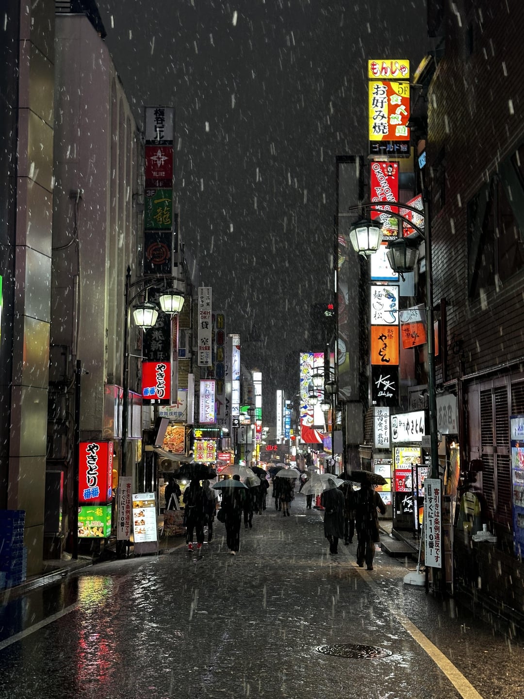 Beautiful snowy Tokyo - Alo Japan