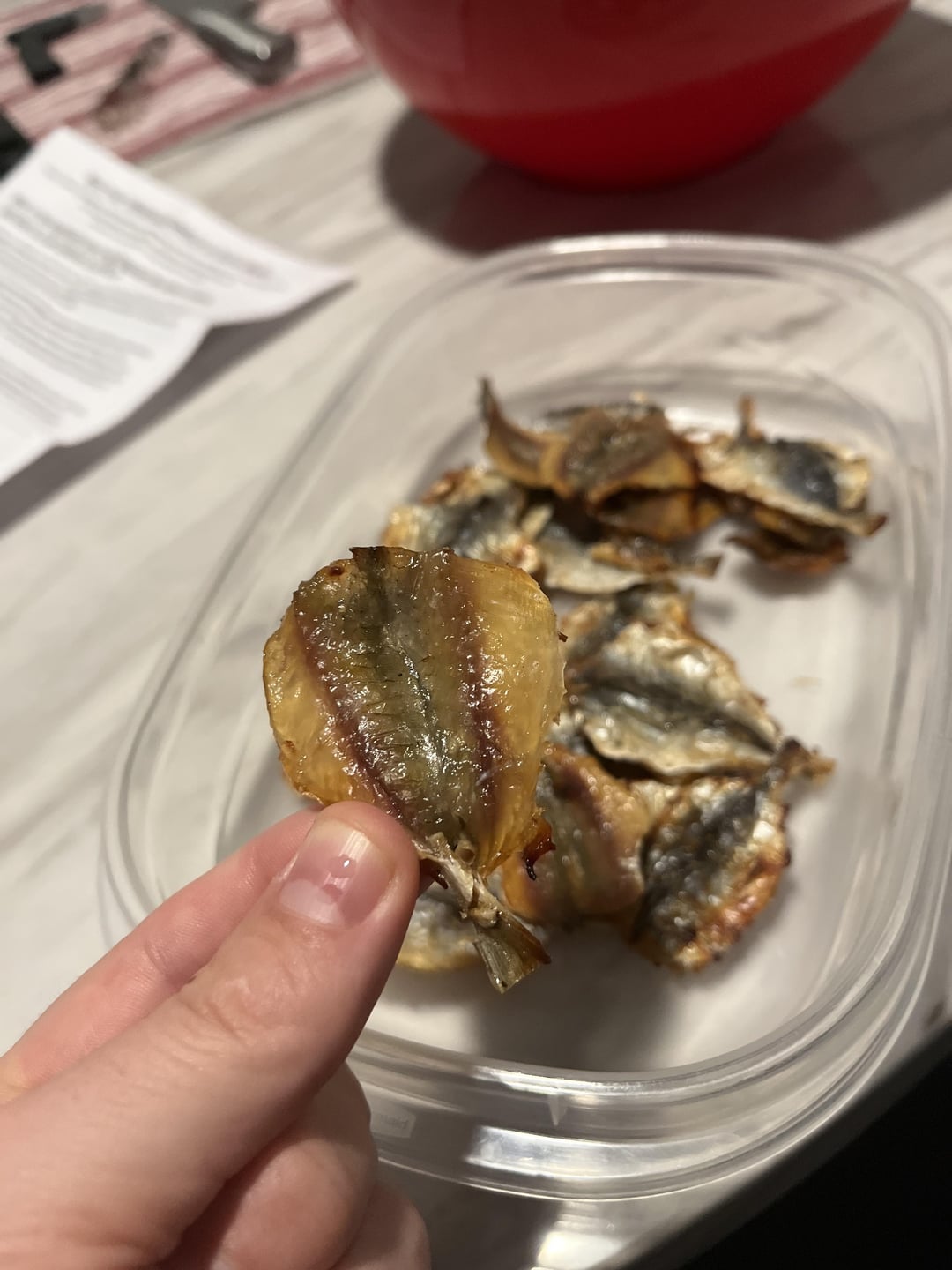 What is this fish? - Alo Japan