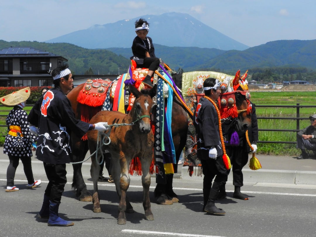 Chagu Chagu Umako, Takizawa and Morioka, Iwate Prefecture - Alo Japan ...