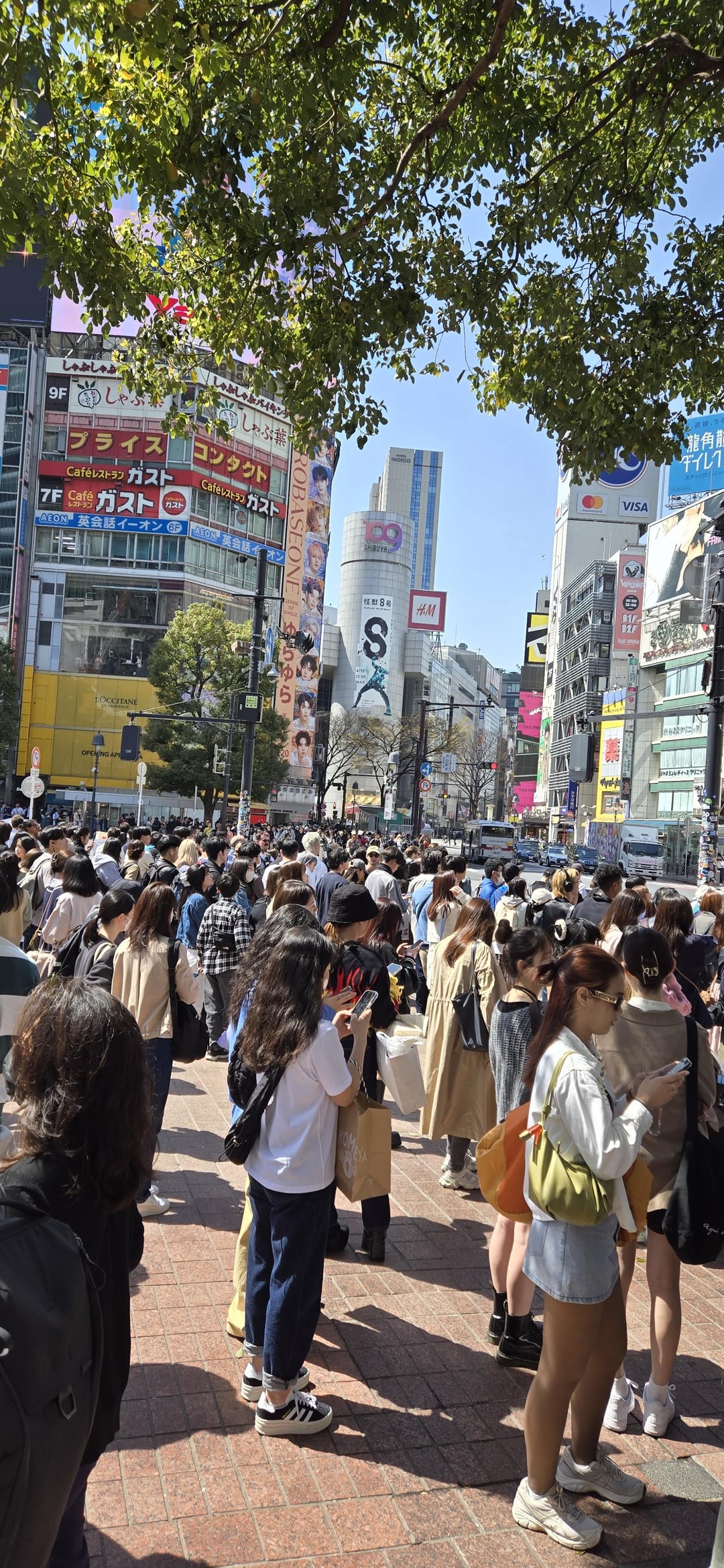 Tokyo, end of March/early April - Alo Japan