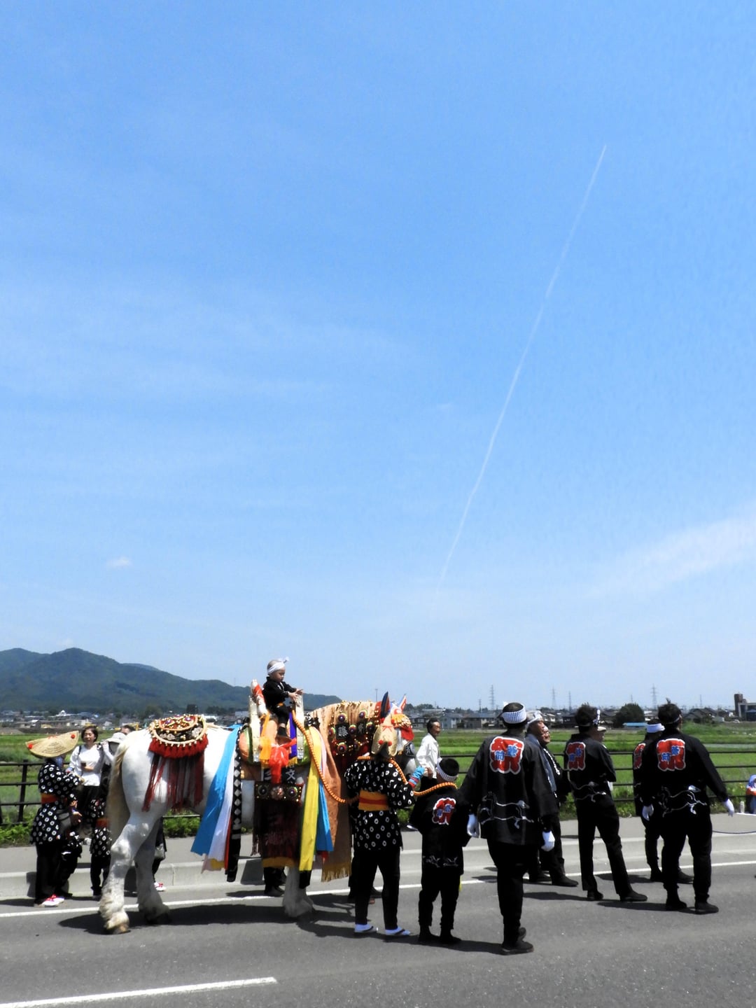 Chagu Chagu Umako, Takizawa and Morioka, Iwate Prefecture - Alo Japan ...