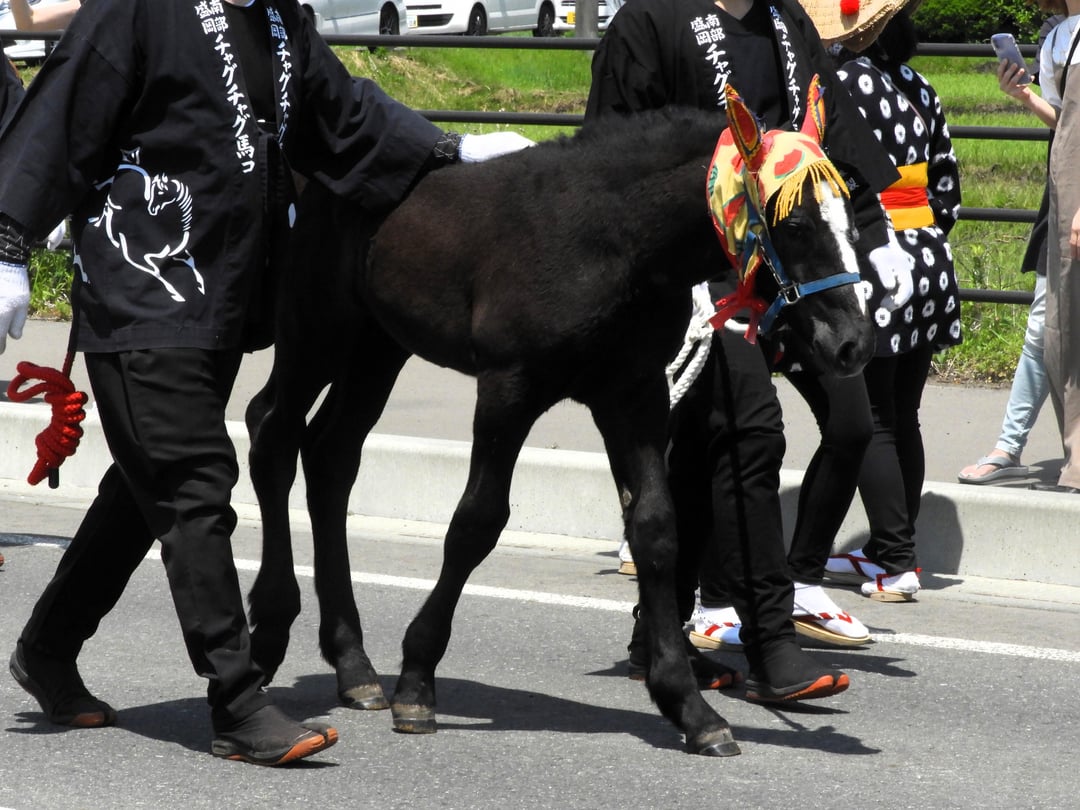 Chagu Chagu Umako, Takizawa and Morioka, Iwate Prefecture - Alo Japan ...