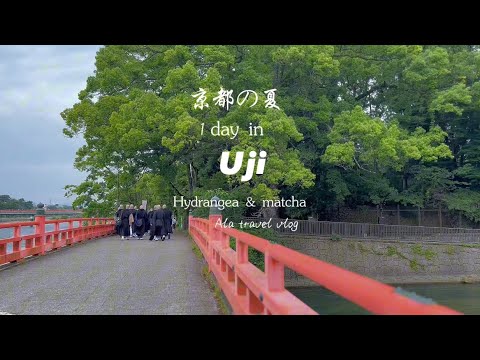 Kyoto travel | 1 day trip to #Uji,Hydrangea&matcha - Alo Japan All ...