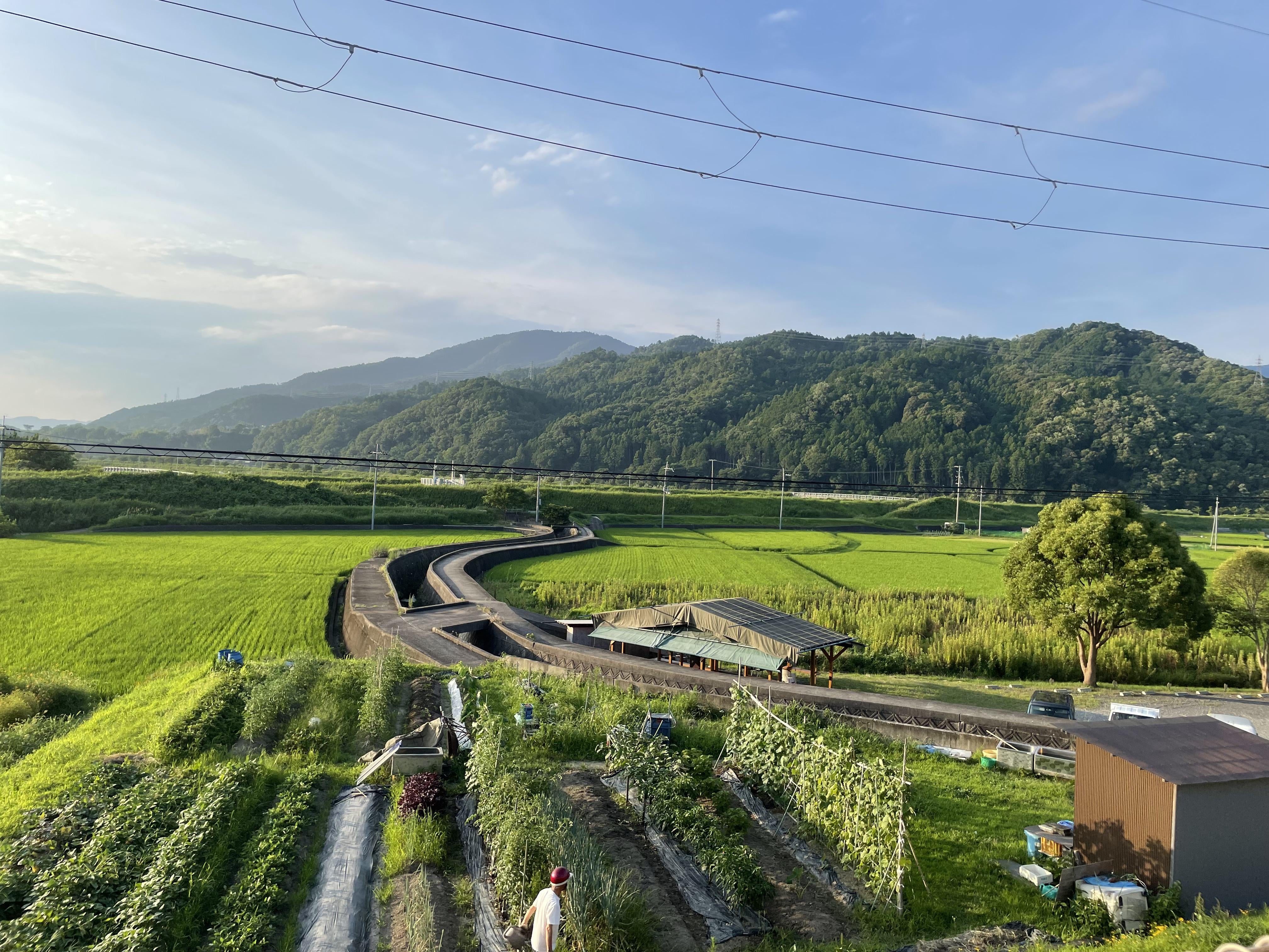 Took the wrong train in Kyoto trying to get back to Kyoto station ...
