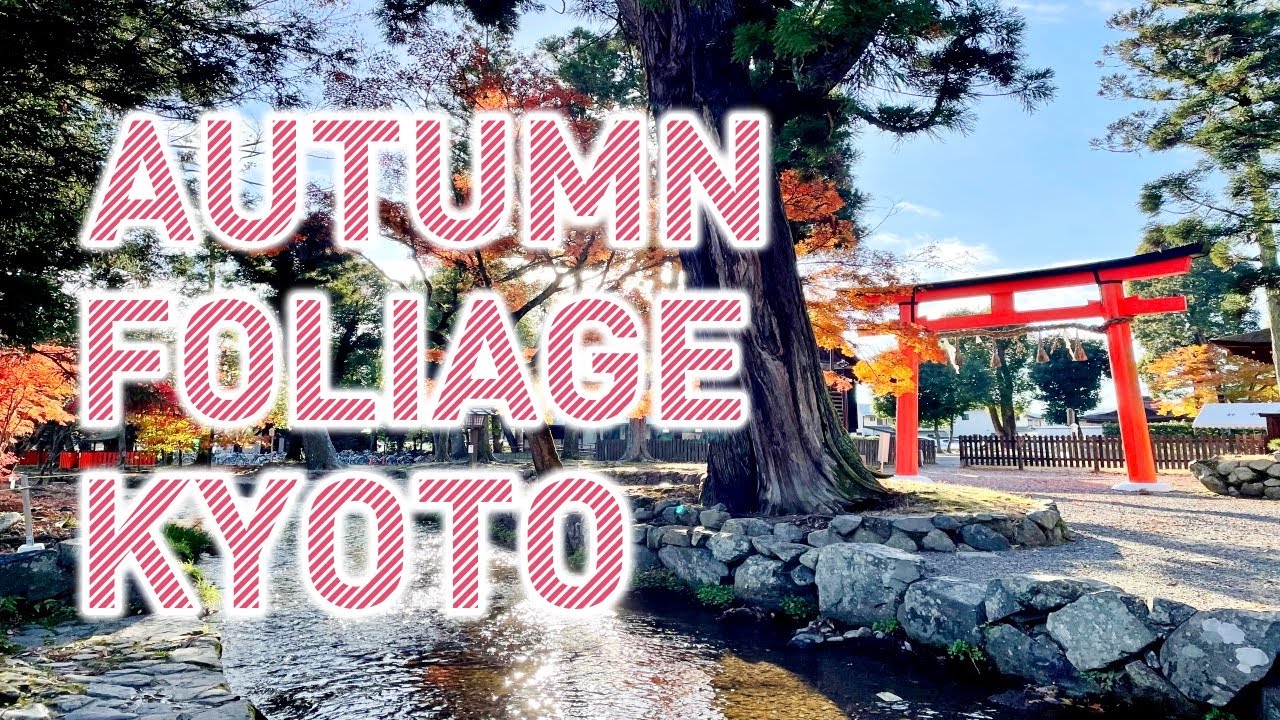 Breathtaking place for fall foliage In Kyoto, Kamigamo shrine ...