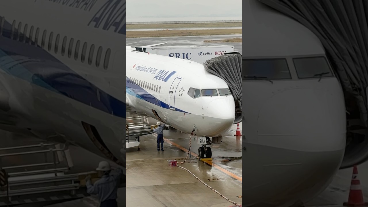 Ana Boeing 737 At Kix Osaka International Airport Alo Japan