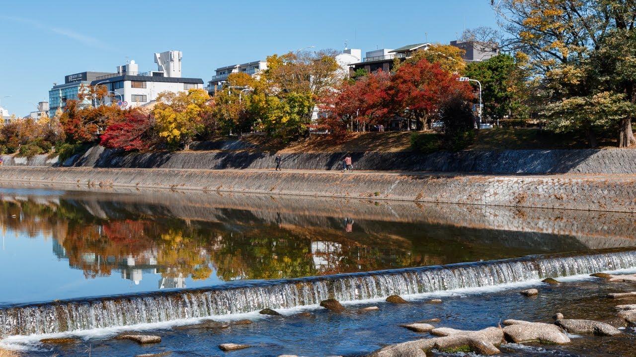 🇯🇵 Japan Walking Tour - Kyoto's Kamo River Walk | 4K HDR - Alo Japan ...
