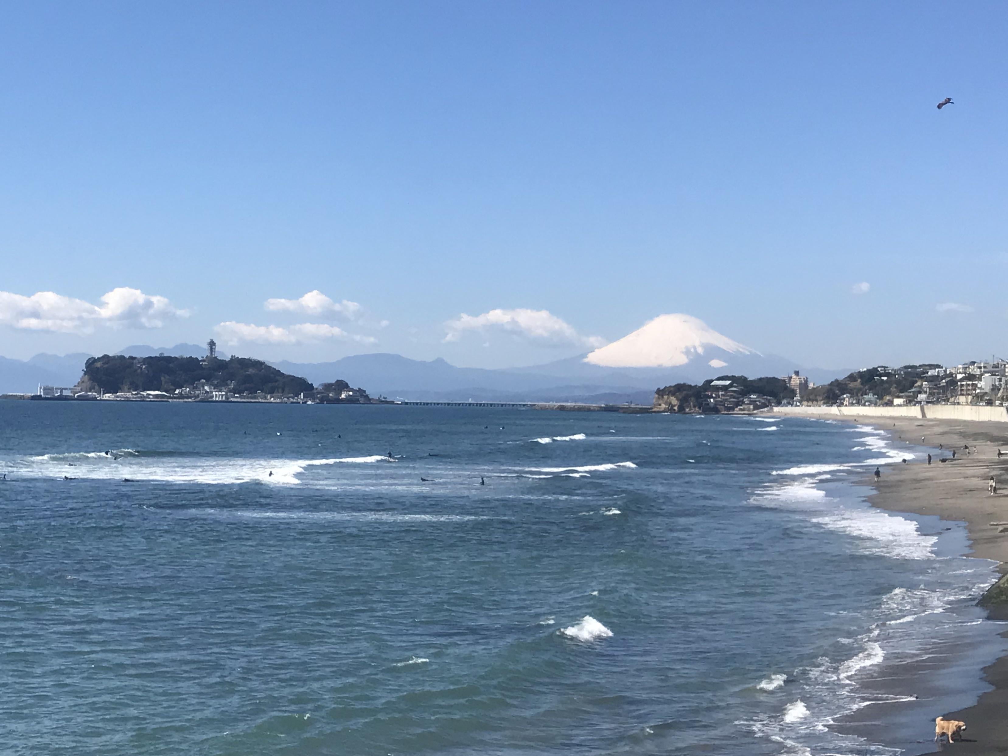 Pacific Drive-in, ft. Mt. Fuji and Enoshima island - Alo Japan