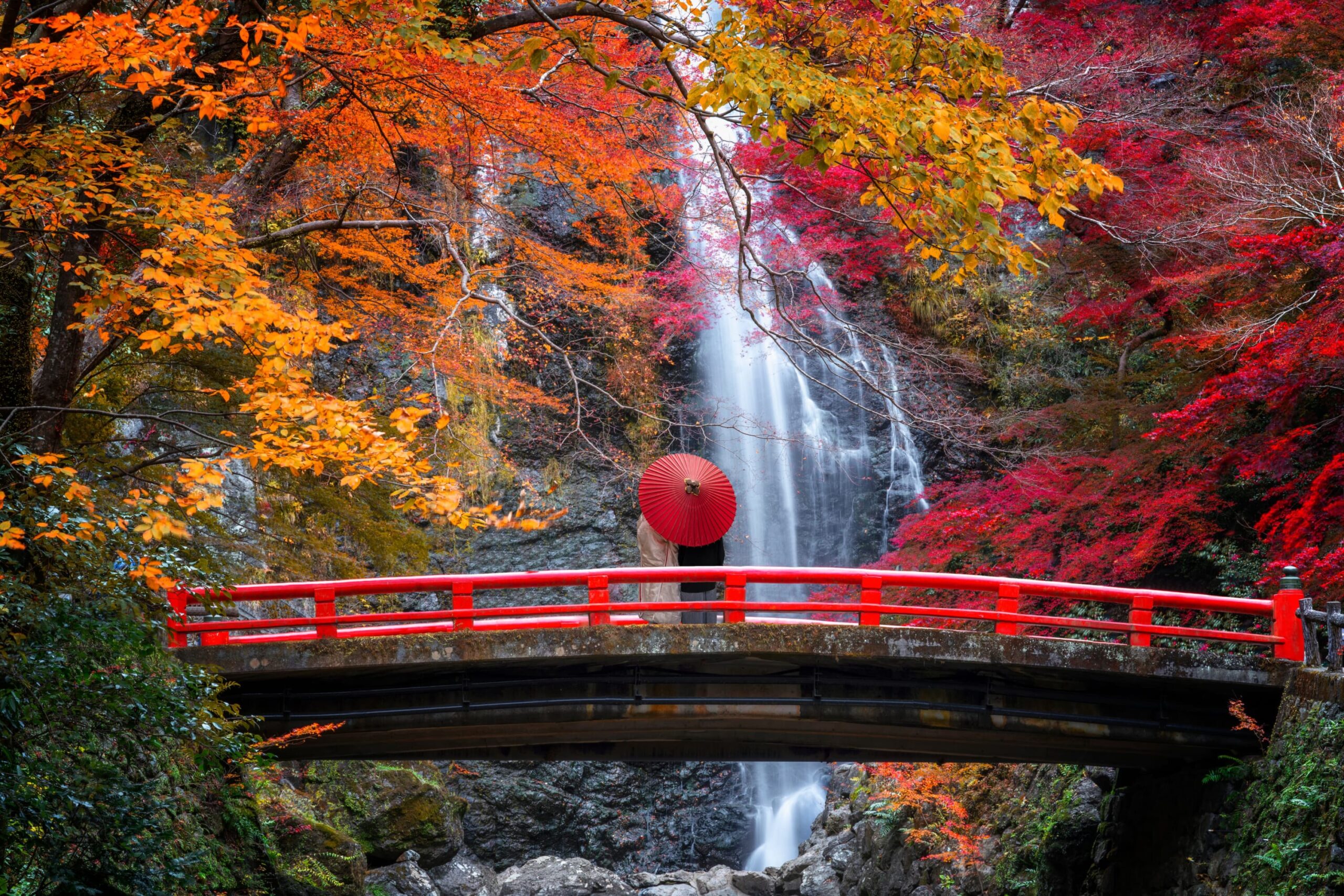 A Day Trip From Osaka With Beautiful Fall Foliage - Alo Japan All About ...