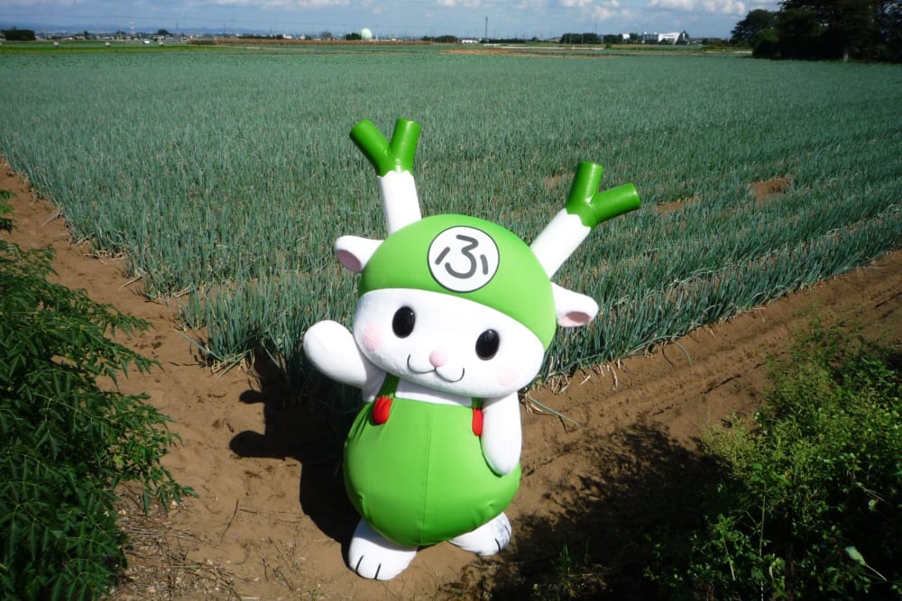 Yuru Kyara Mascots: Your Cute Guides to Exploring Japan! | JAPAN ...