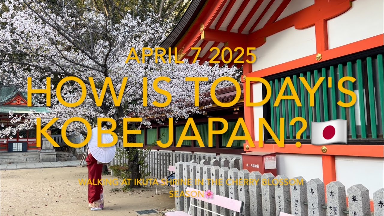 How is today's Kobe Japan?🇯🇵 April 7 2025, Walking at Ikuta shrine in ...