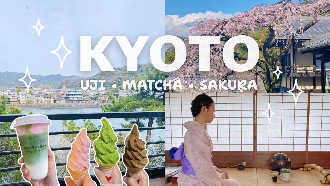 Best Matcha Experience in Kyoto 💚 Matcha Tea Ceremony, Uji day trip ...