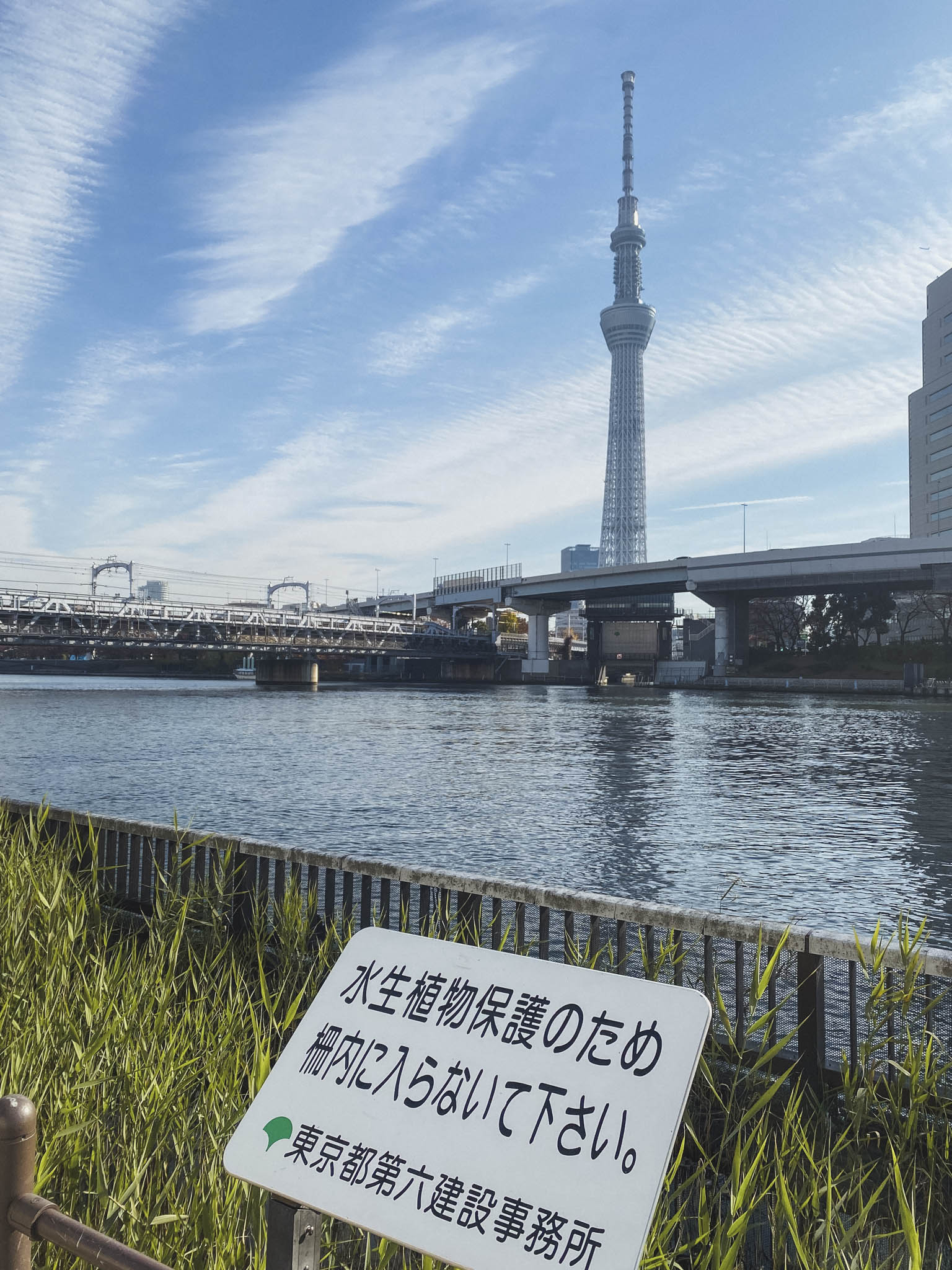 2025 Guide on How to Visit Tokyo Skytree - Alo Japan All About Japan