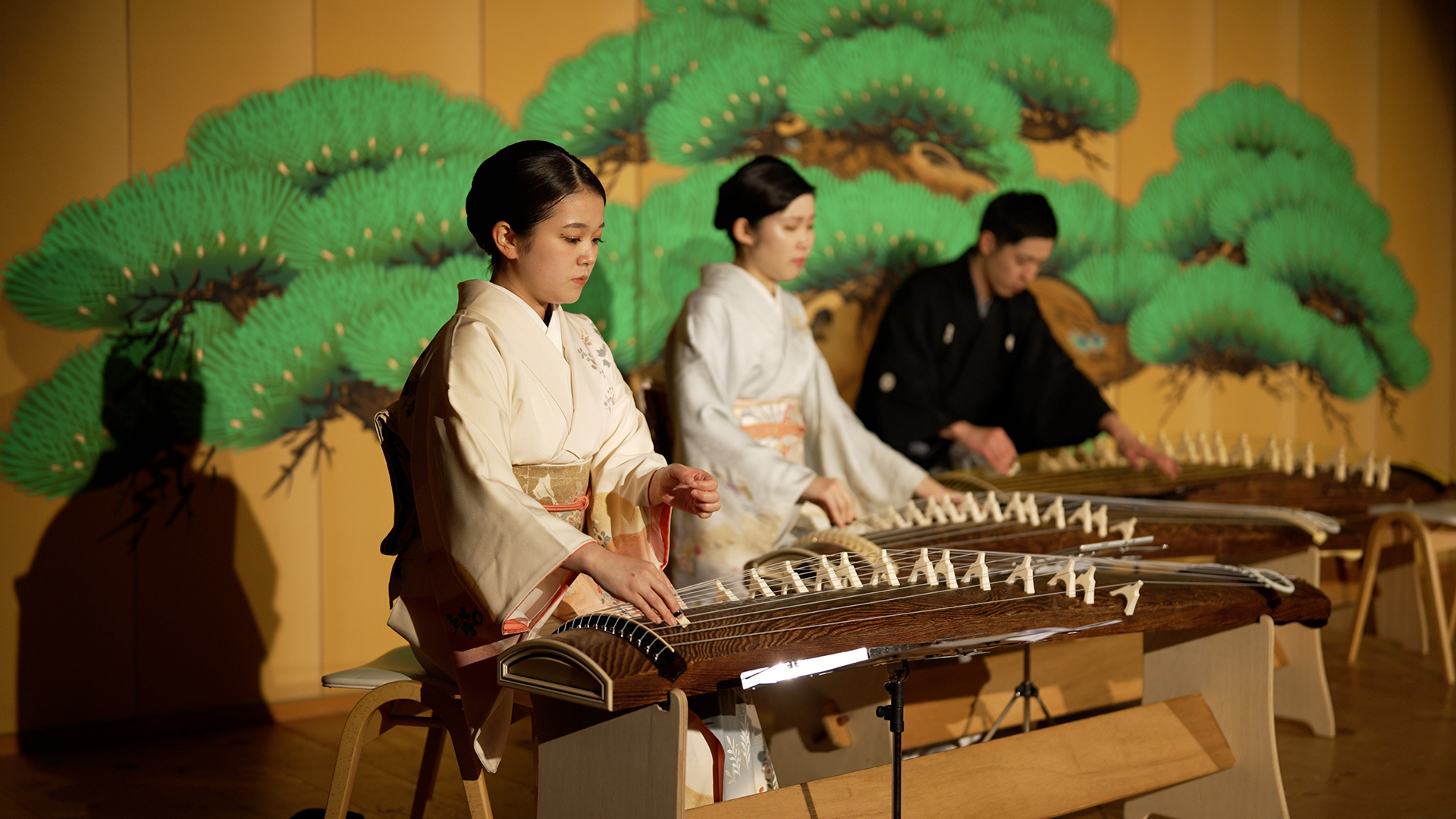 Wagakki × Immersive Space: A Sensory Journey into Modern Japanese ...