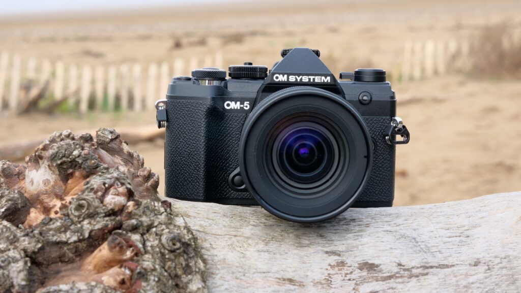 Best travel camera for 2025: top choices for your adventures - Alo ...