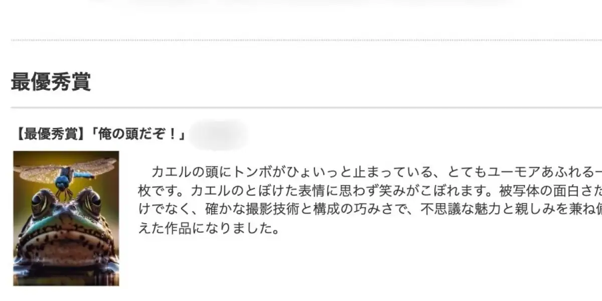 Photo Contest in Japan Rescinds Award for Stolen AI-Generated Pic - Alo ...